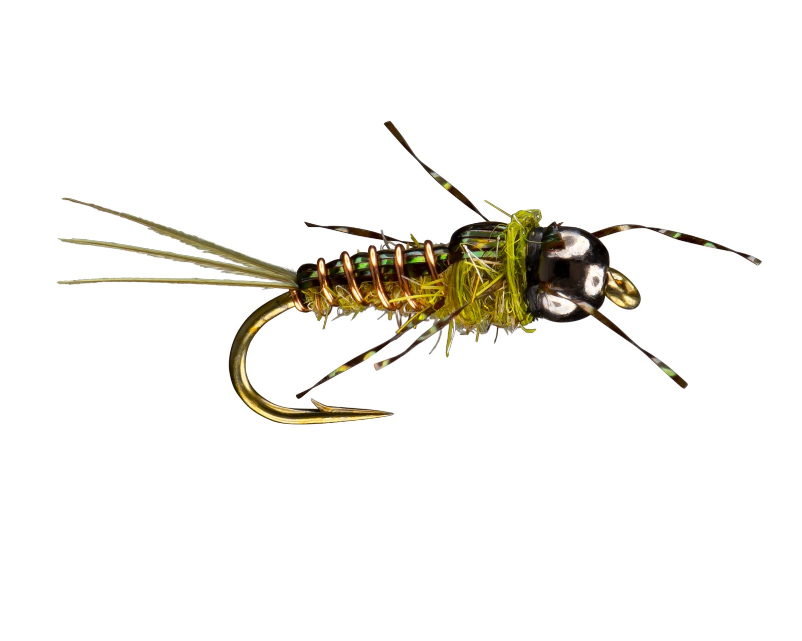 RIO'S Morrish Anato-May Olive – Mouche Expert