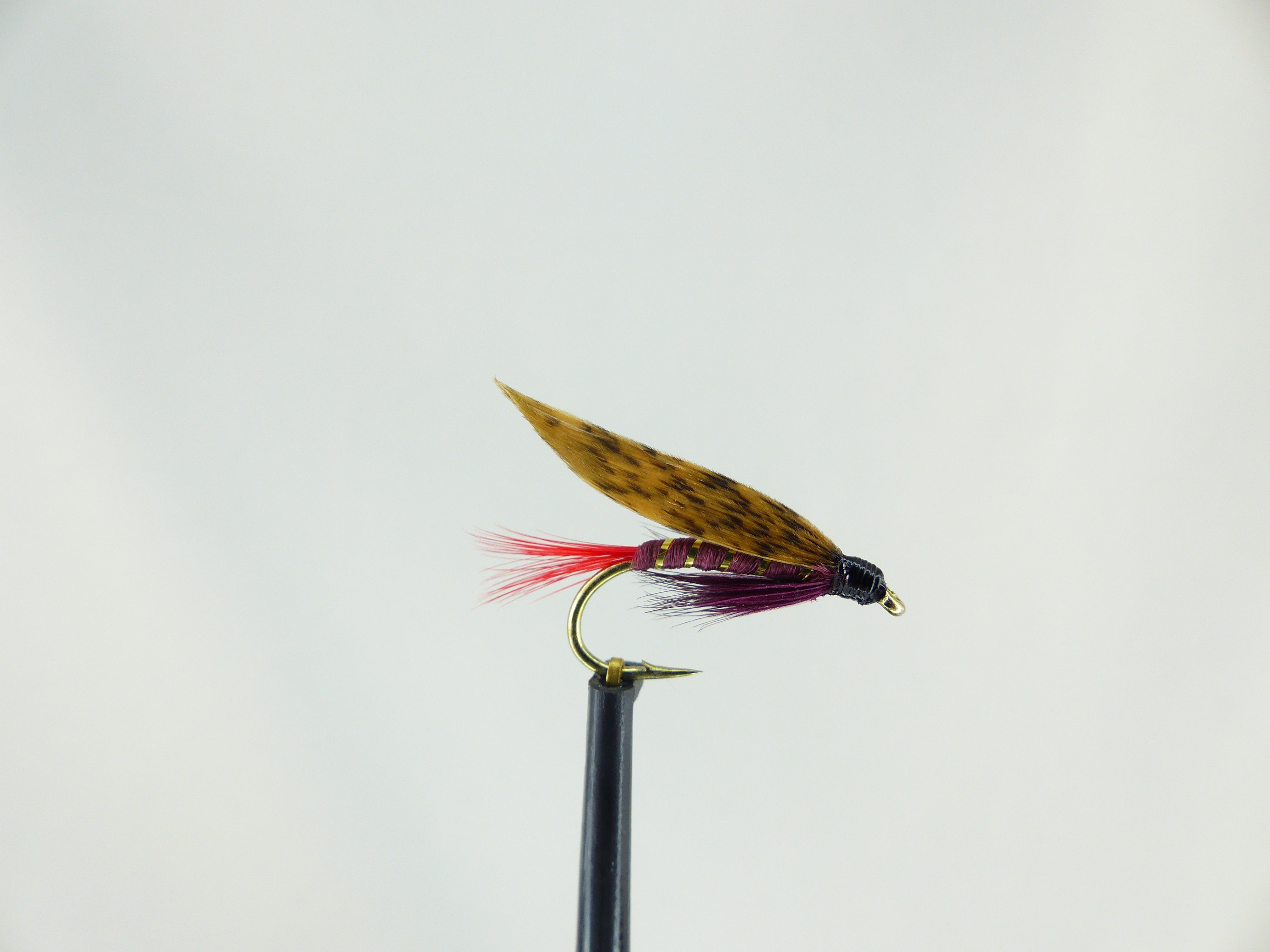 Dark Montréal – Mouche Expert