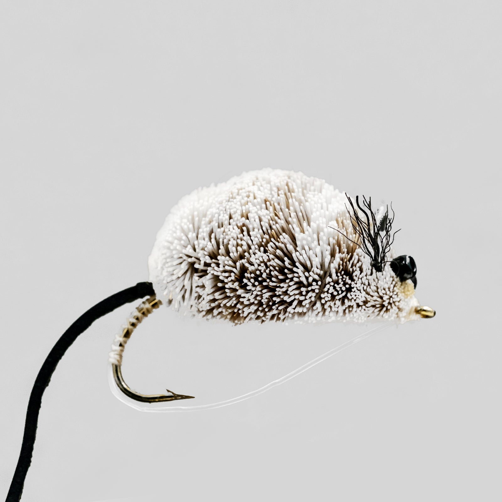 Souris – Mouche Expert