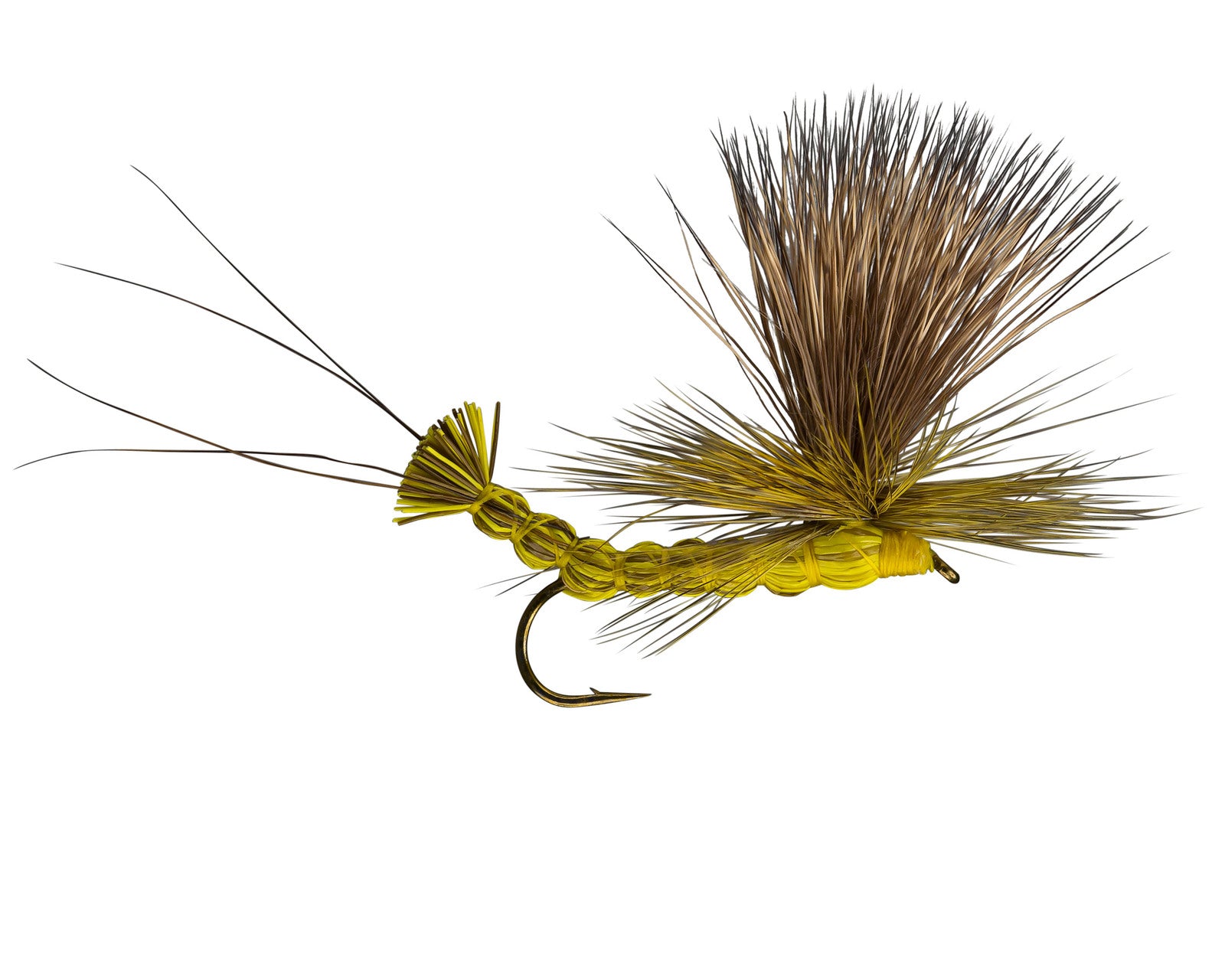 Hex Paradrake yellow/olive – Mouche Expert