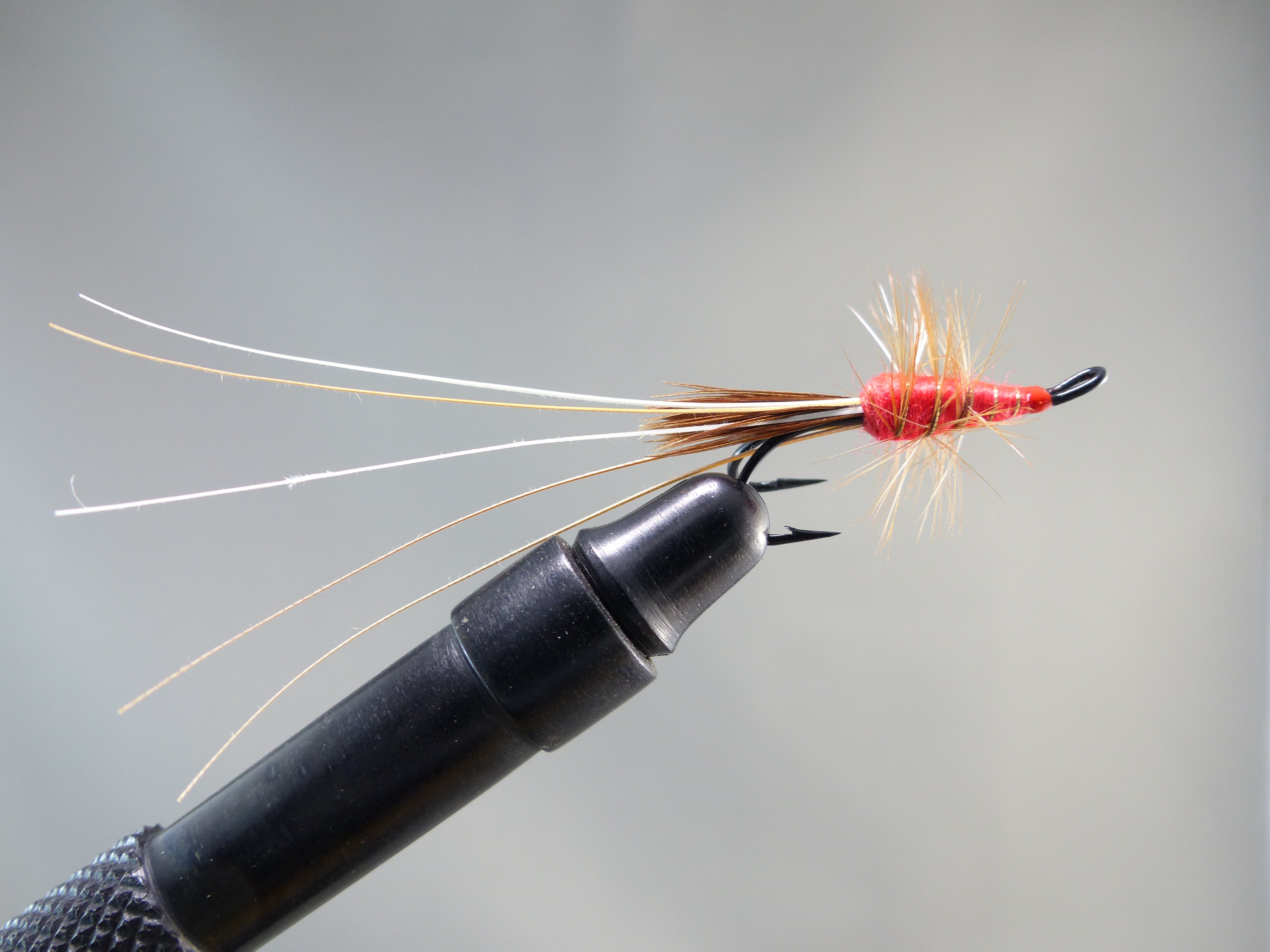 Frances red – Mouche Expert