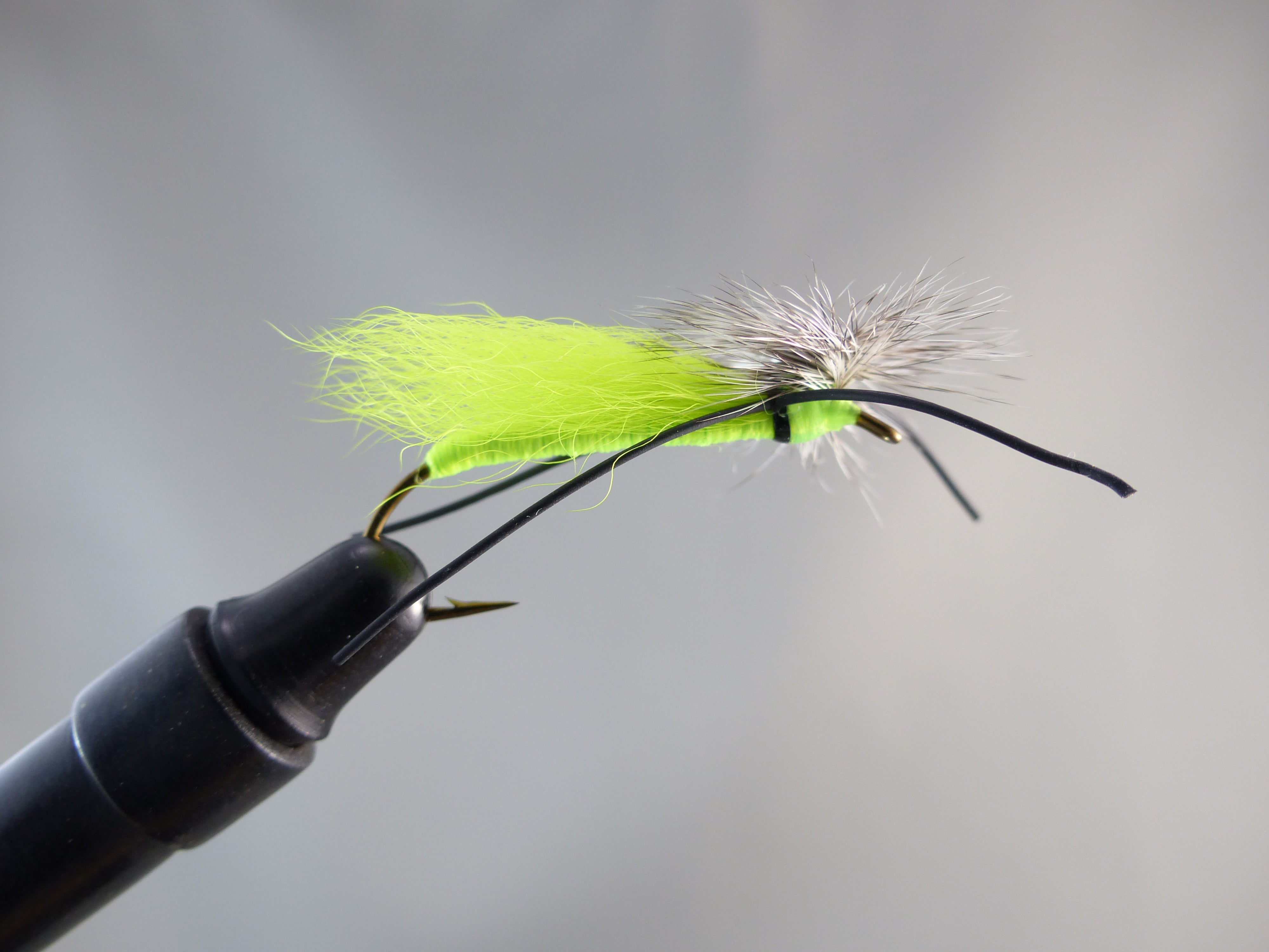 TROTTINETTE LIME AILE CHARTREUSE – Mouche Expert