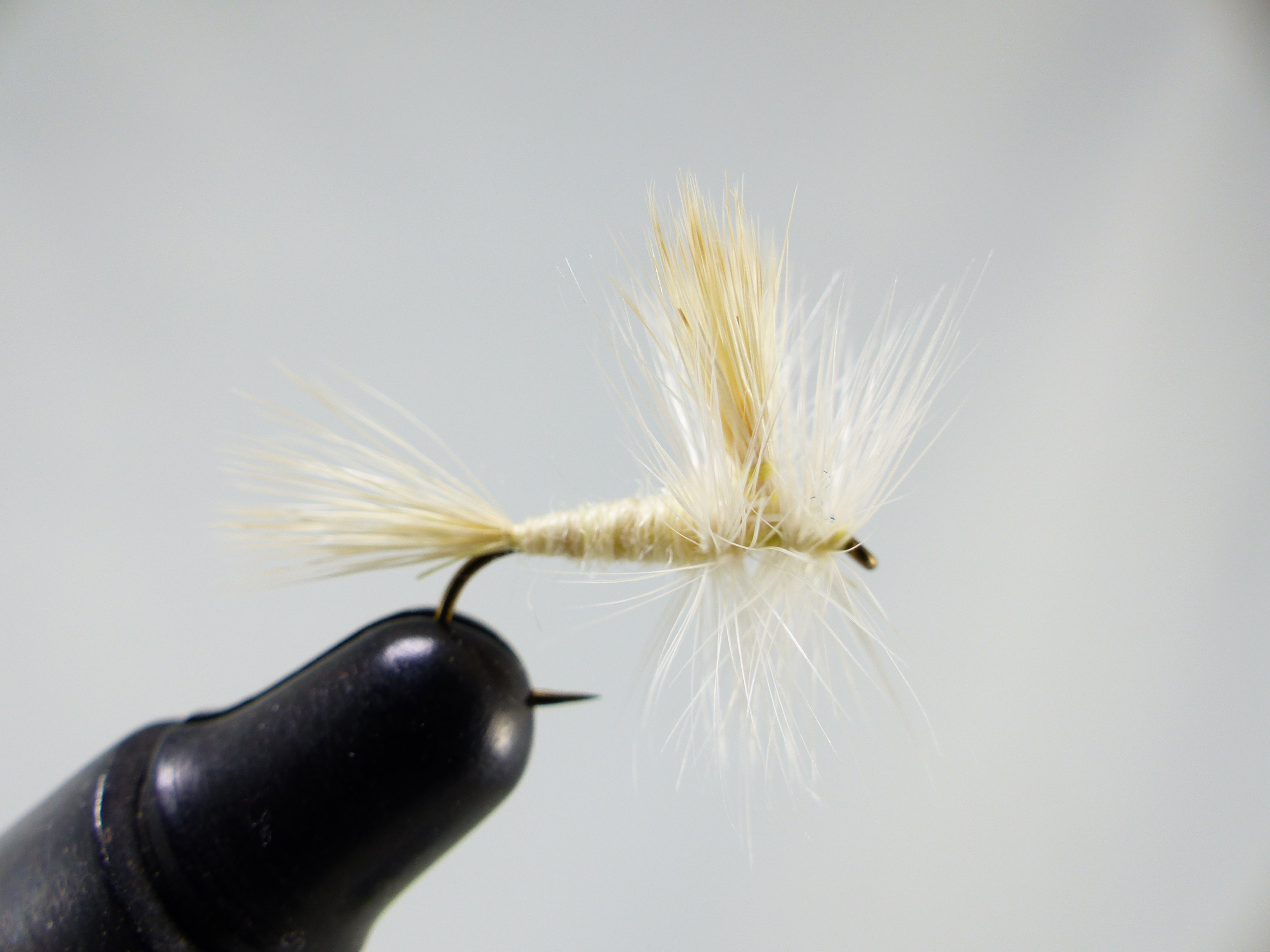 WULF BLONDE – Mouche Expert