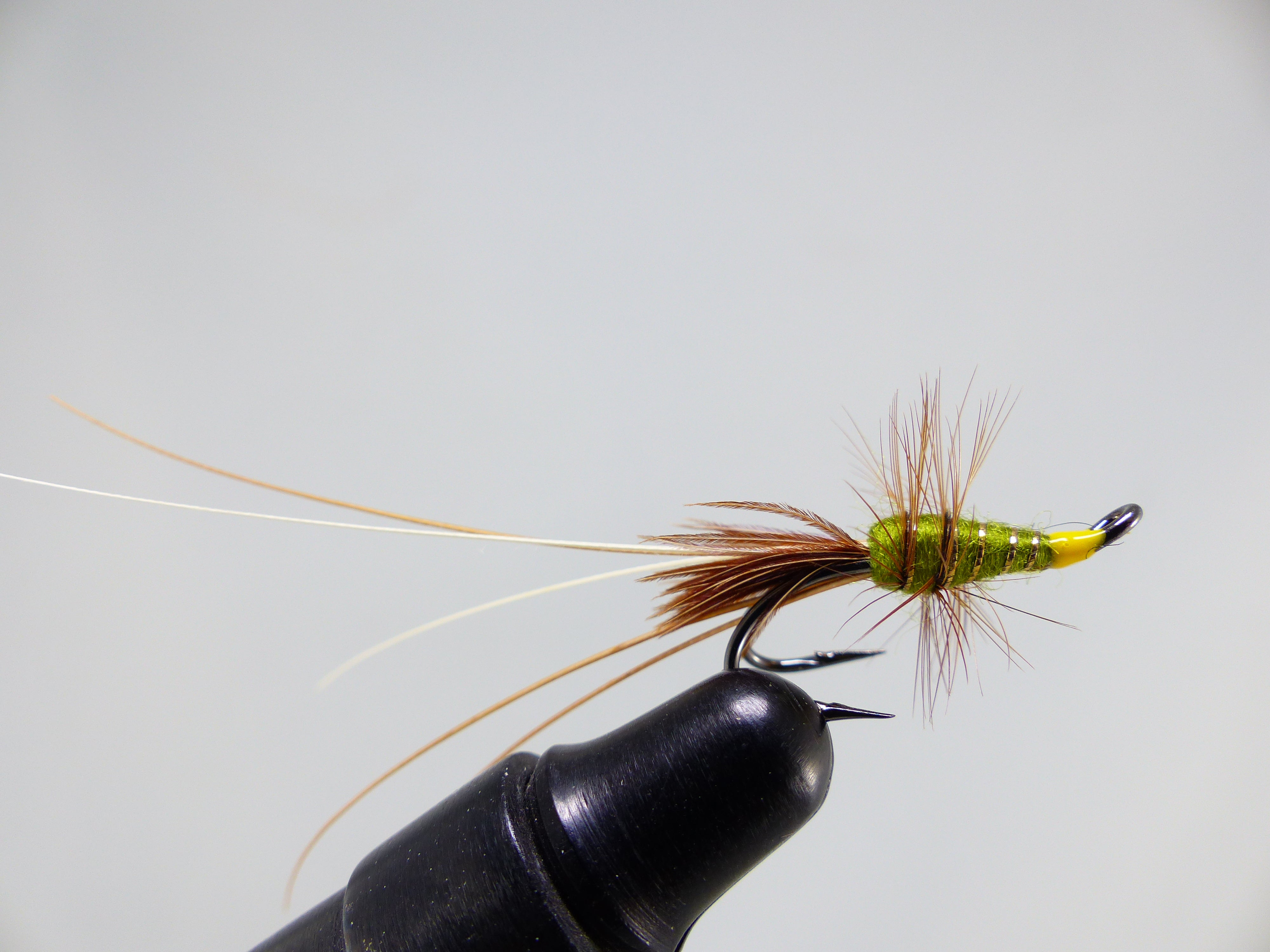 Frances Moss green – Mouche Expert