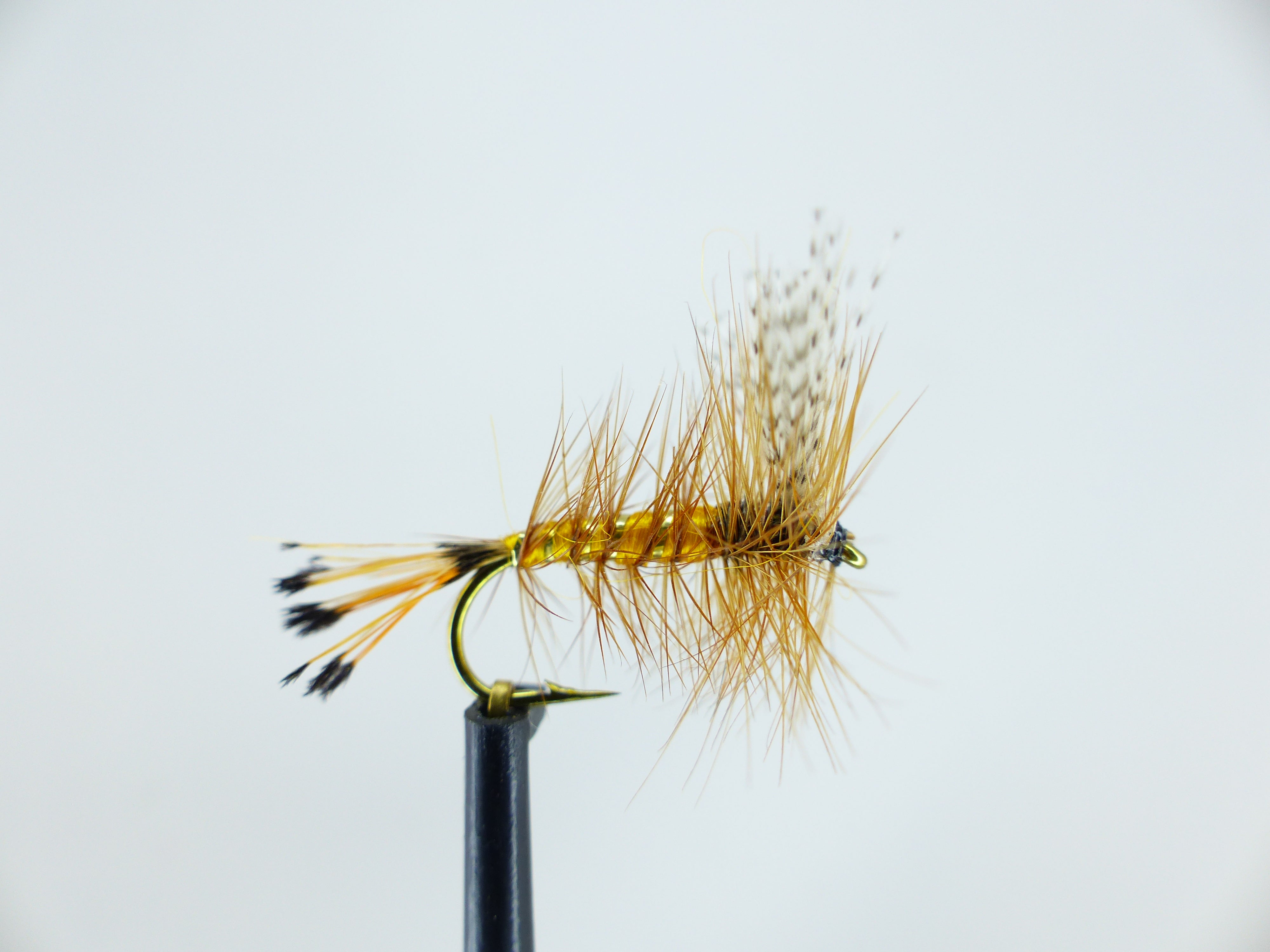 Queen of Water – Mouche Expert