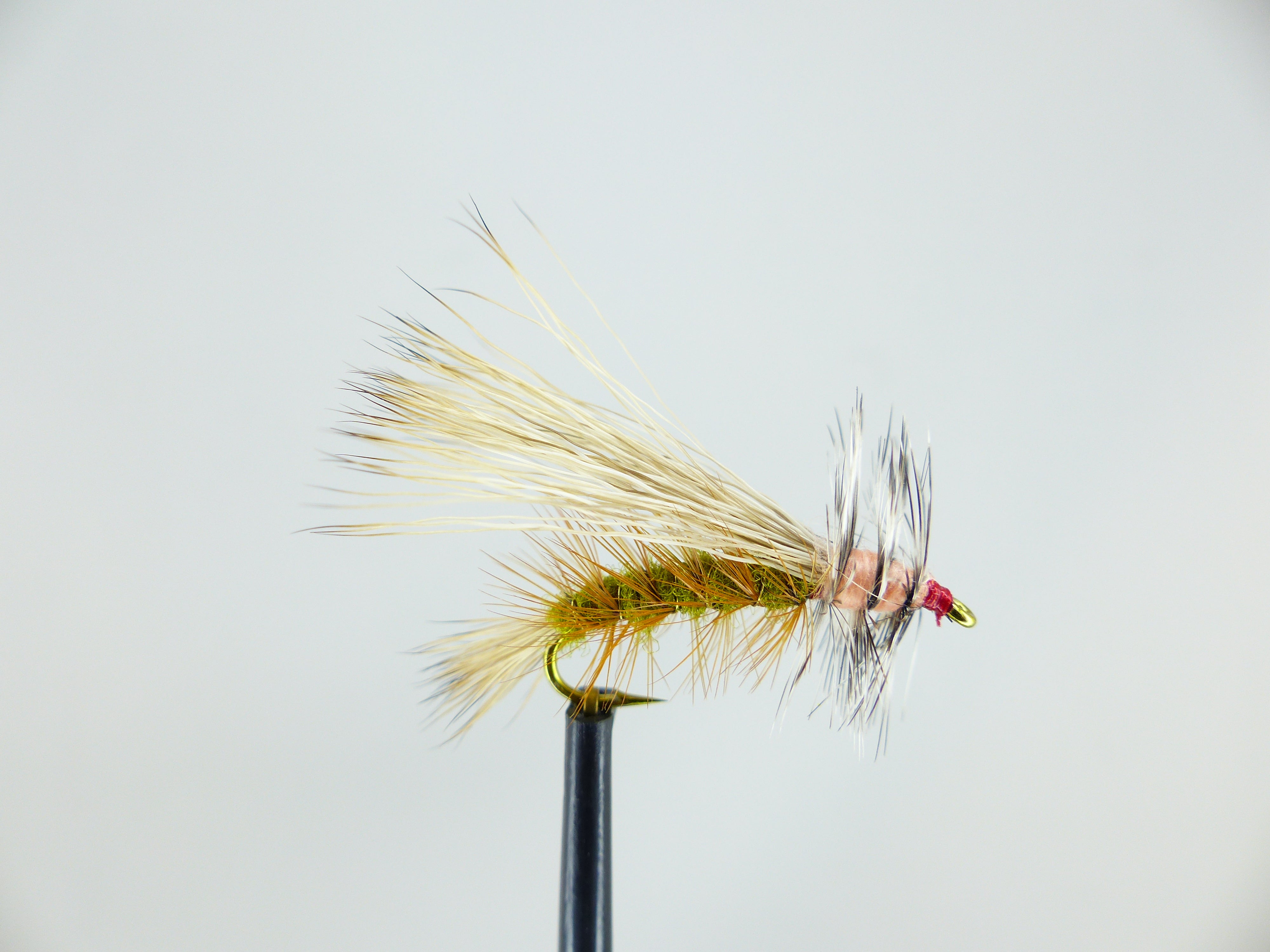 Olive Stimulator – Mouche Expert