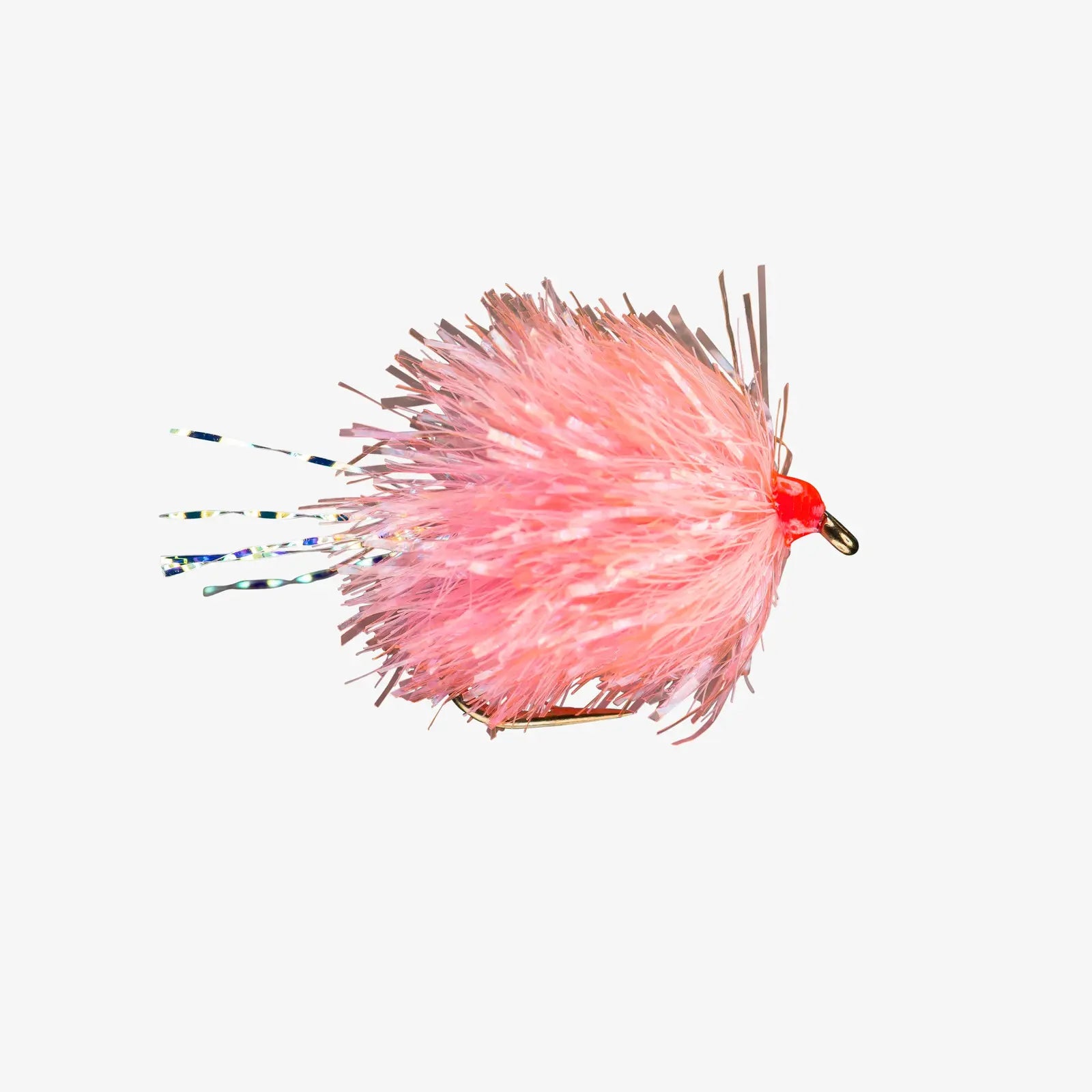 Blob Coral #10 – Mouche Expert