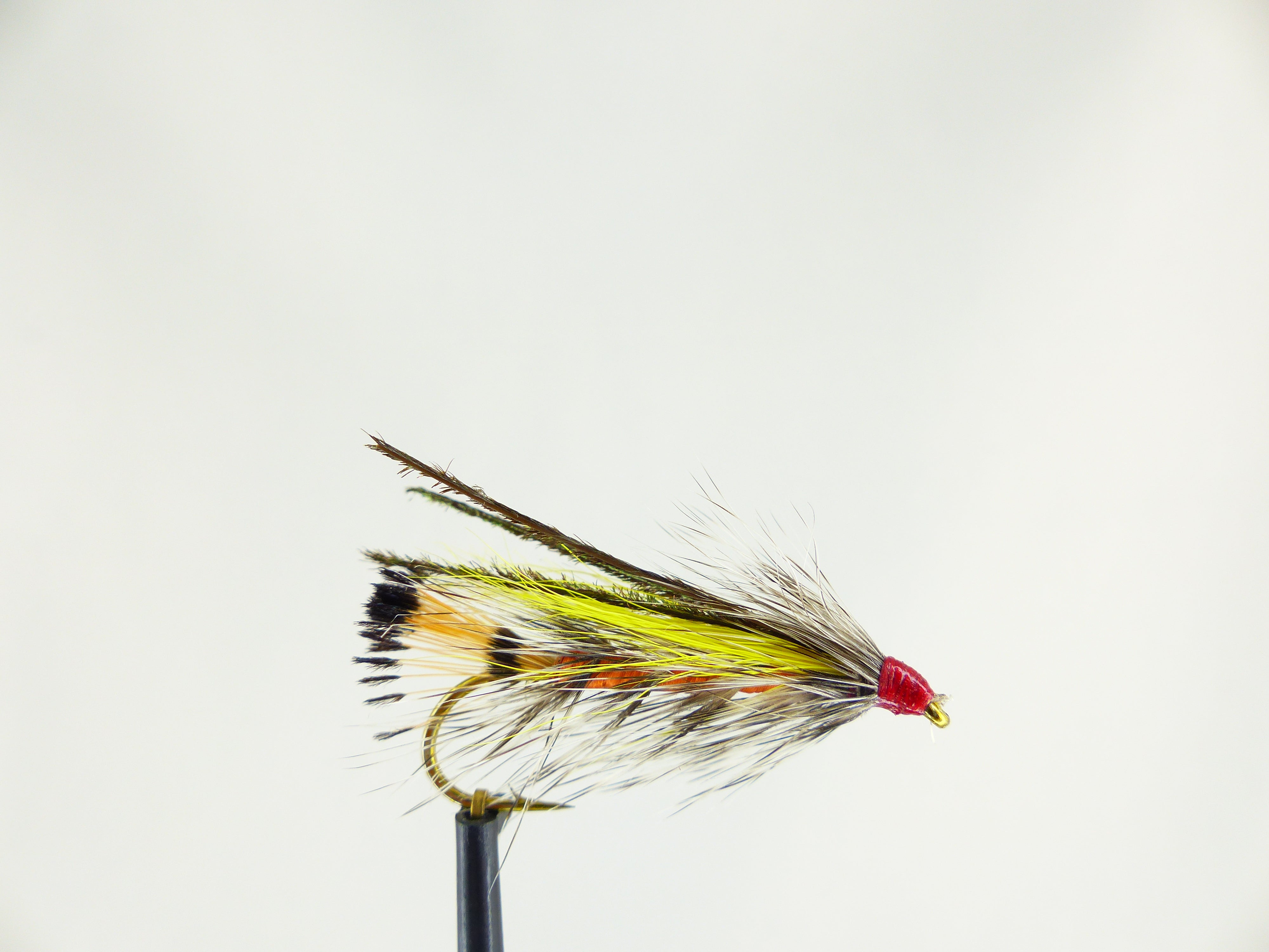Andrea Streamer – Mouche Expert