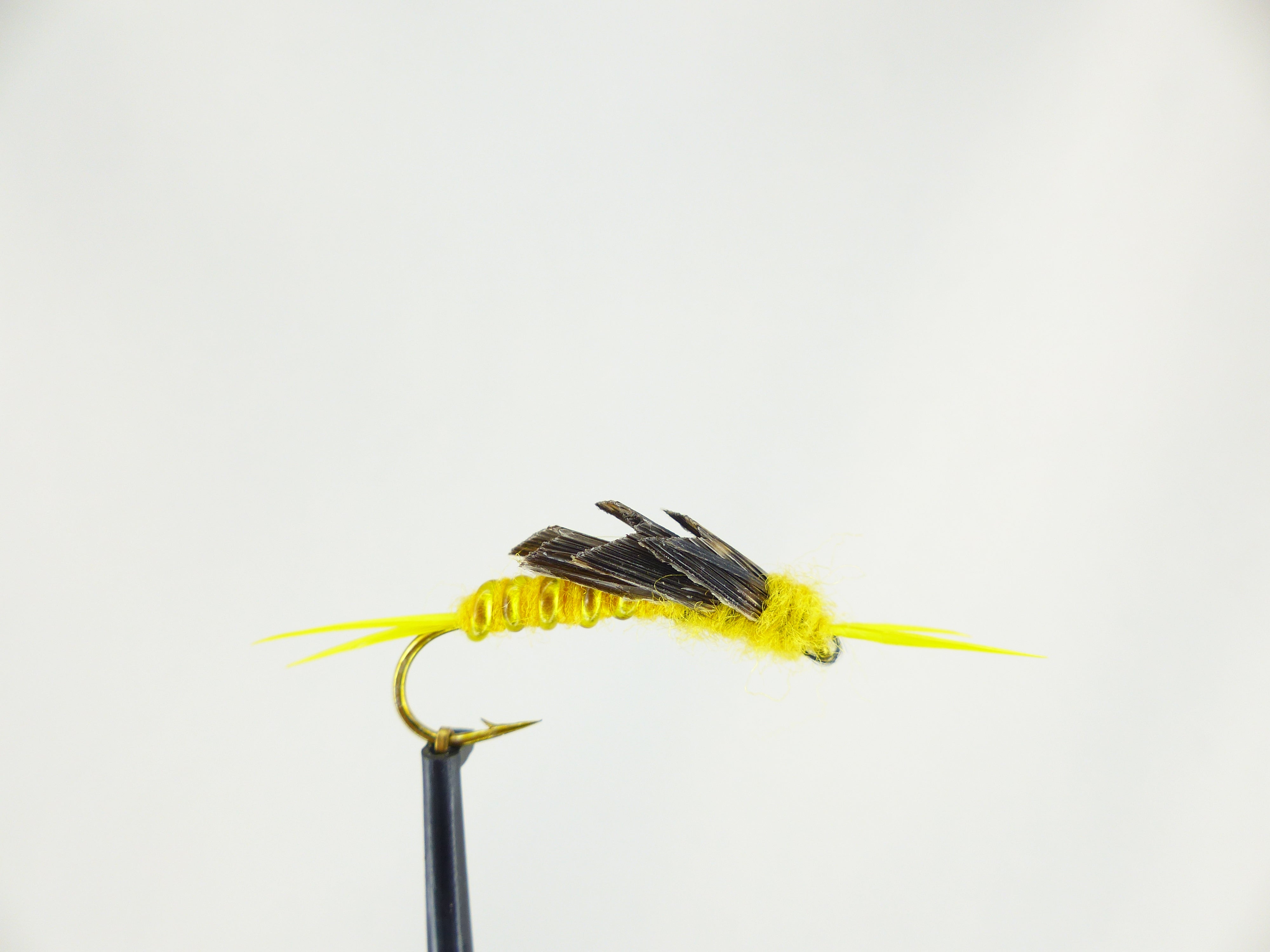 Golden Stone fly – Mouche Expert