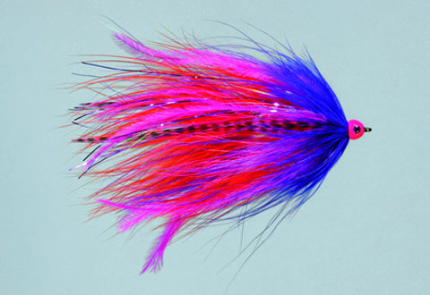 Rainy's Miss Molly Popsicle A/TH – Mouche Expert