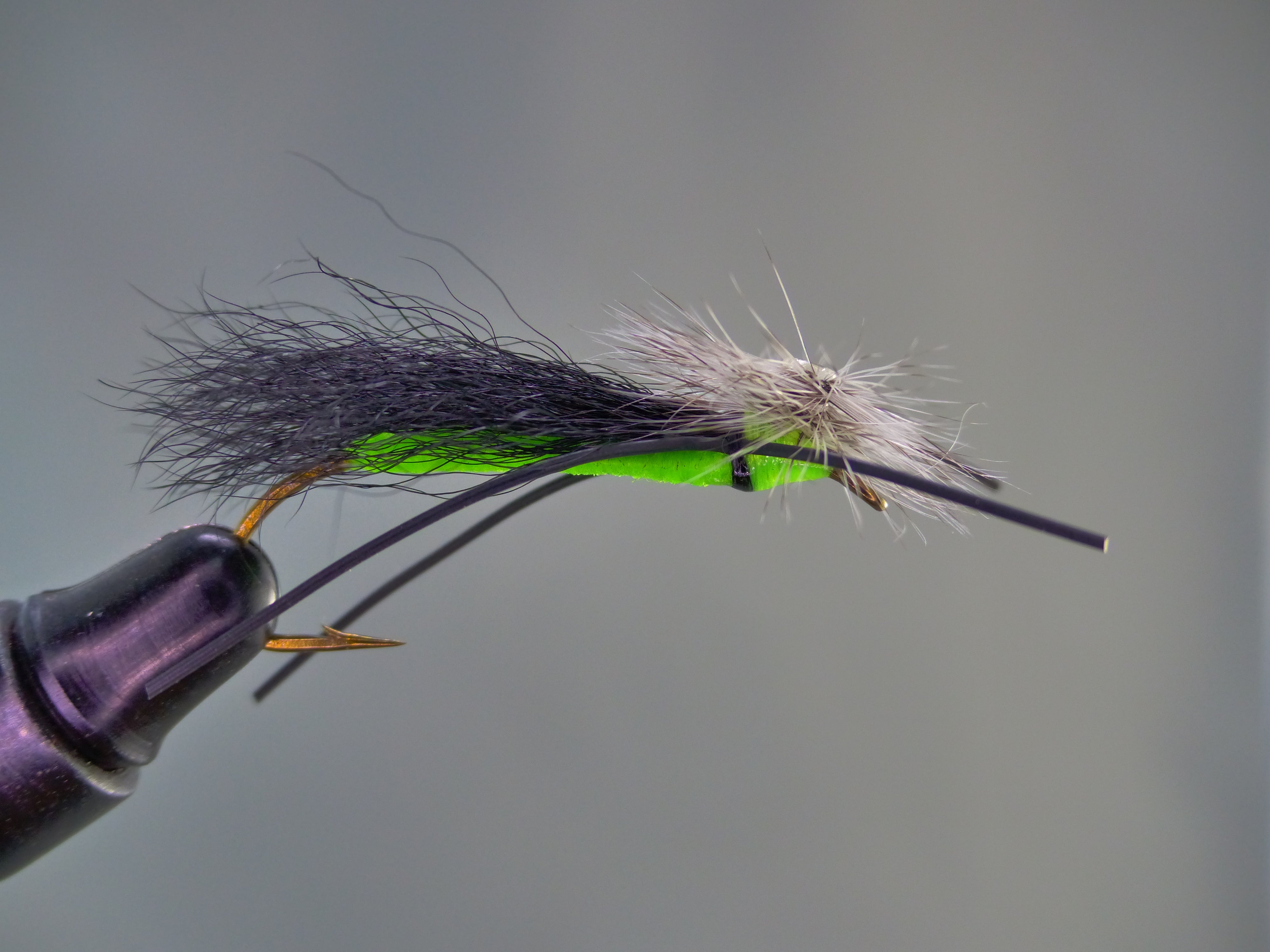 TROTTINETTE NOIRE CORPS CHARTREUSE – Mouche Expert