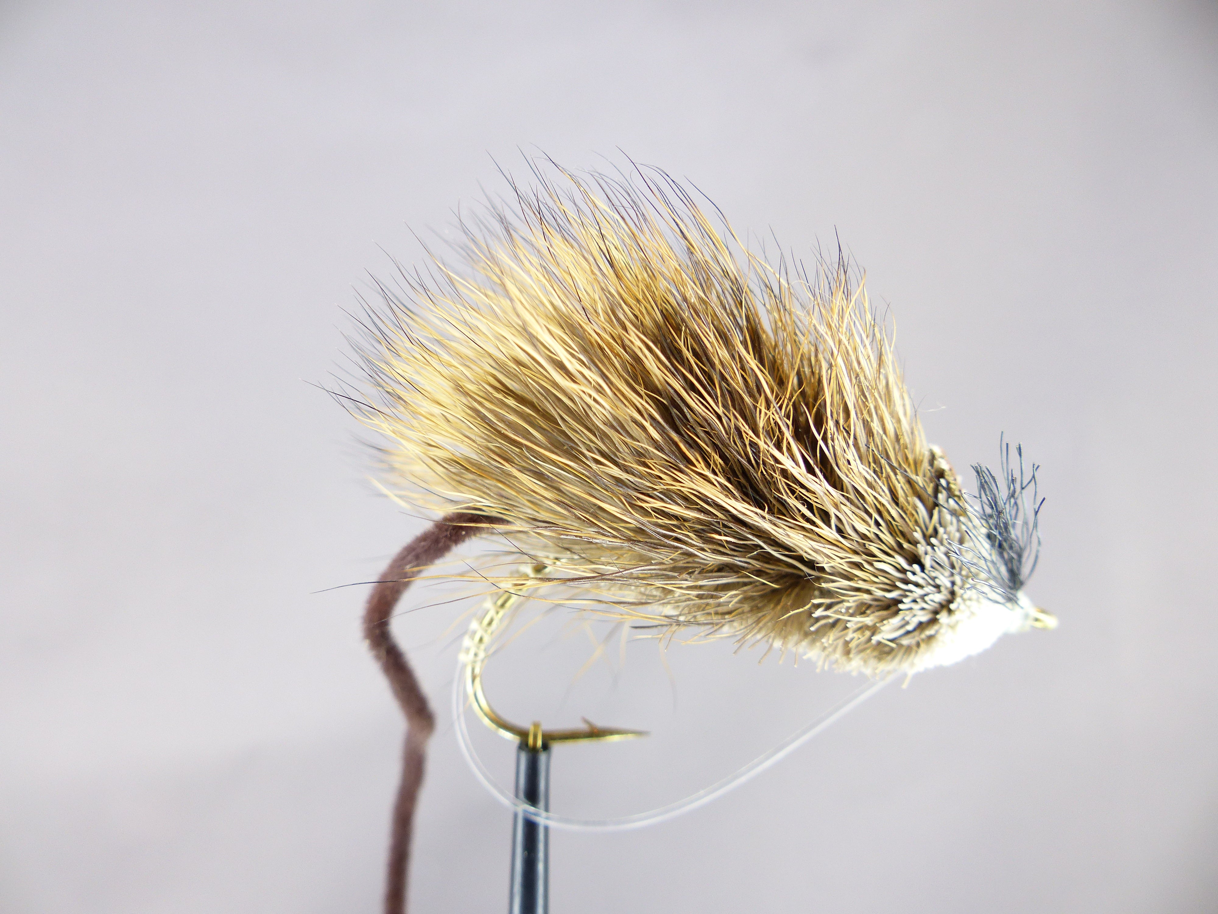 Rat – Mouche Expert