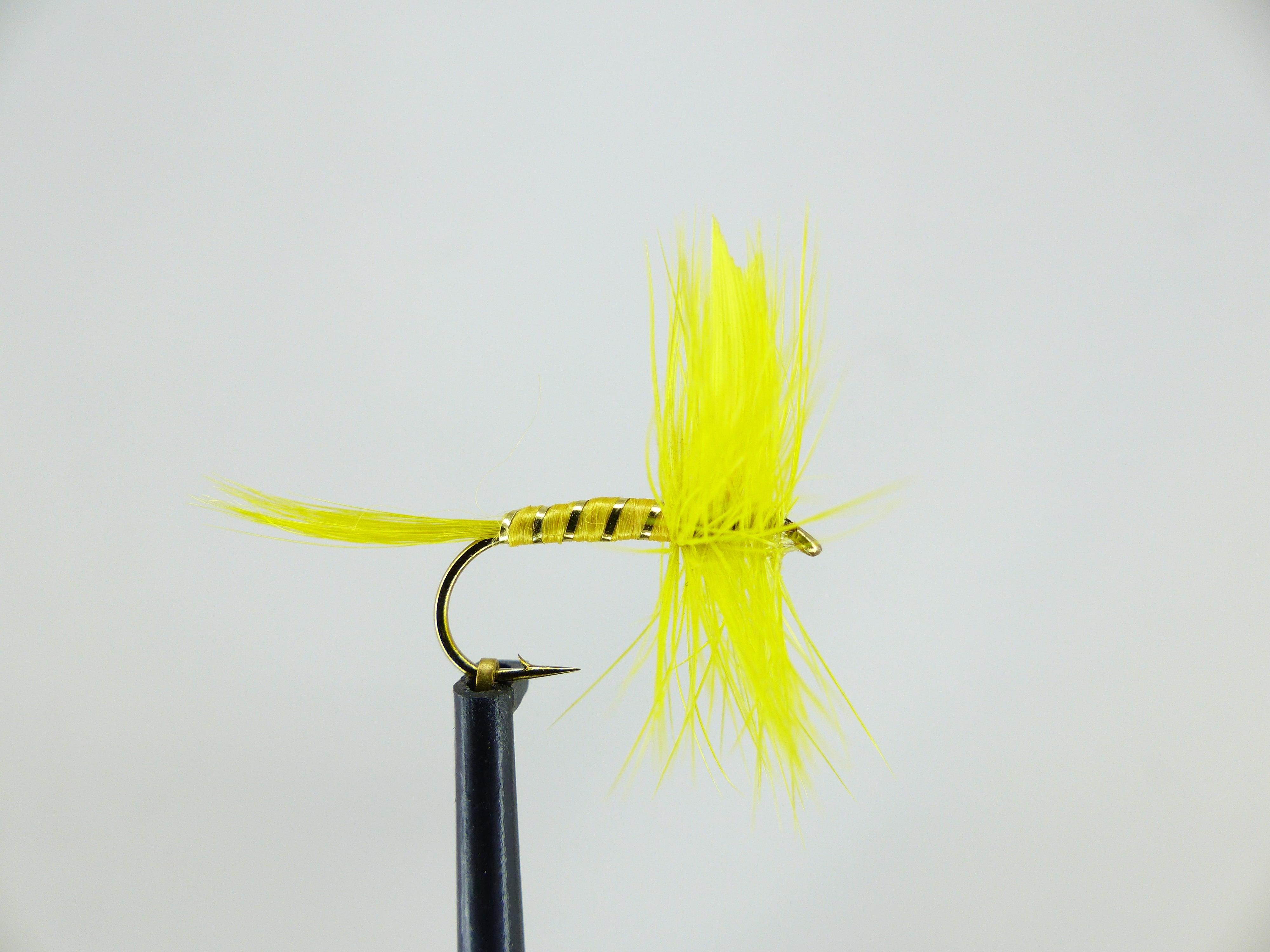 Yellow Sally – Mouche Expert