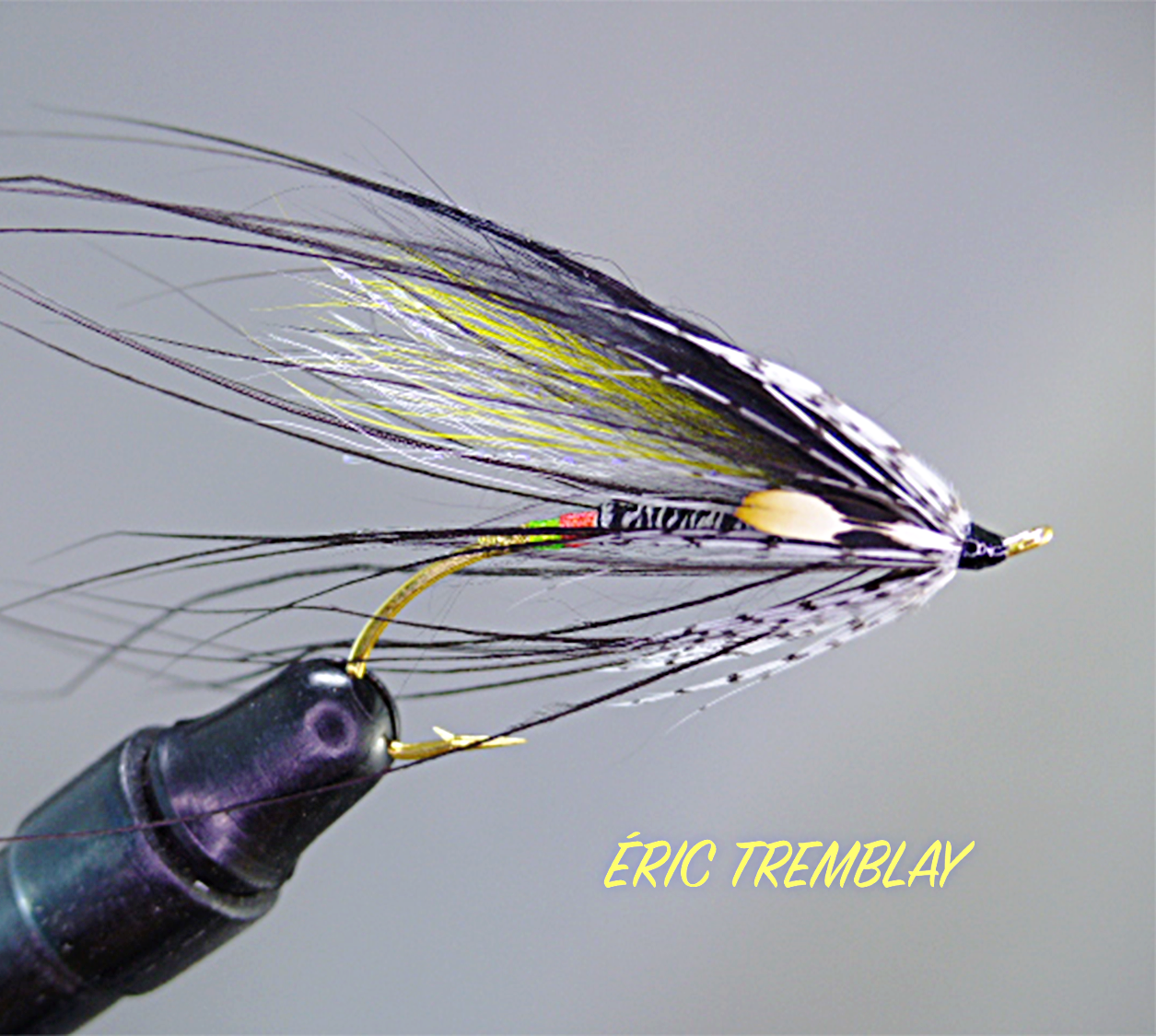 TIGER GHOST VARIANTE OR – Mouche Expert